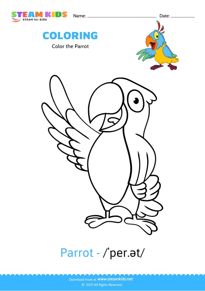 Free Coloring Worksheet - Color the Parrot - STEAM KIDS