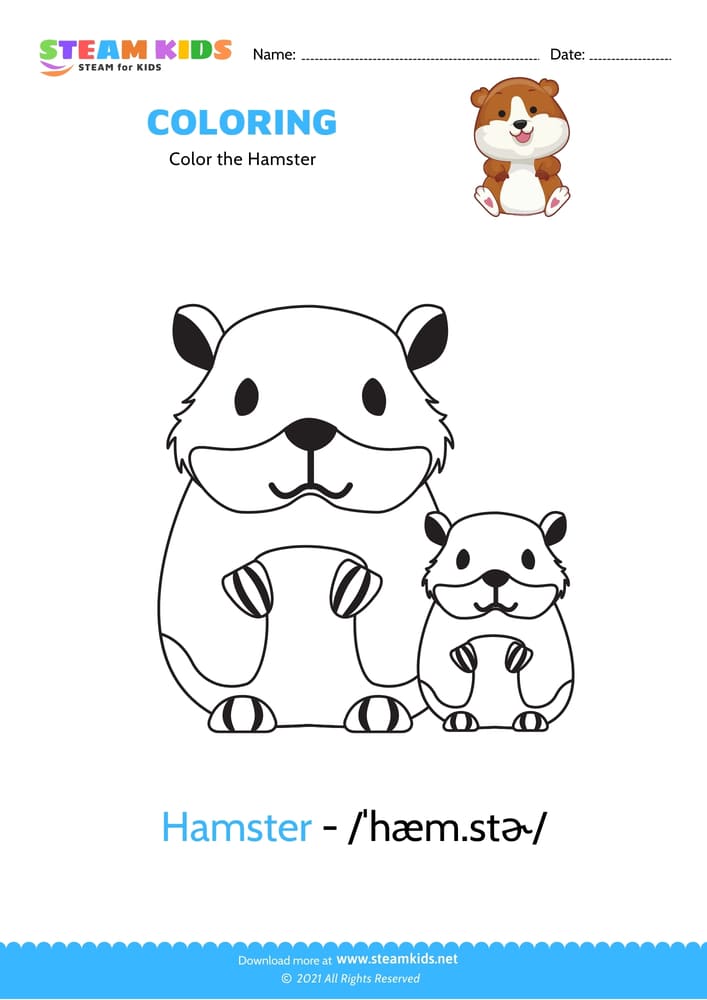 Free Coloring Worksheet - Color the Hamster - STEAM KIDS