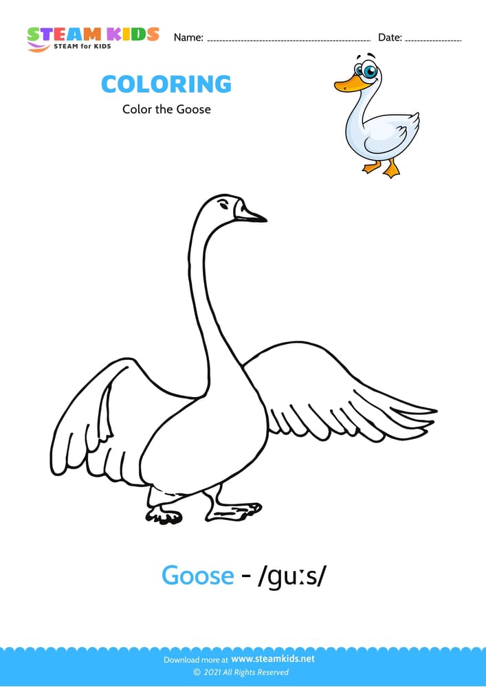 Free Coloring Worksheet - Color the Goose - STEAM KIDS