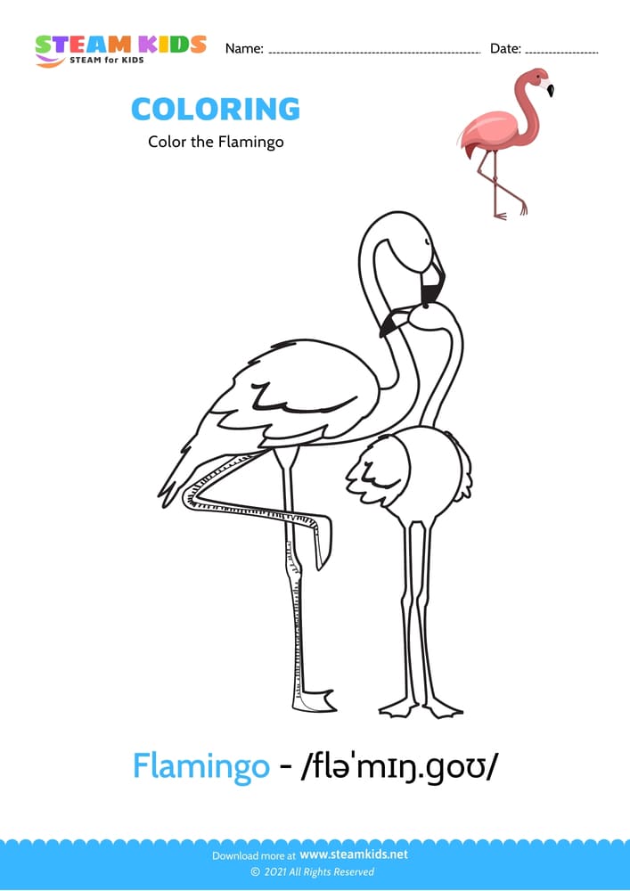 Free Coloring Worksheet - Color the Flamingo - STEAM KIDS