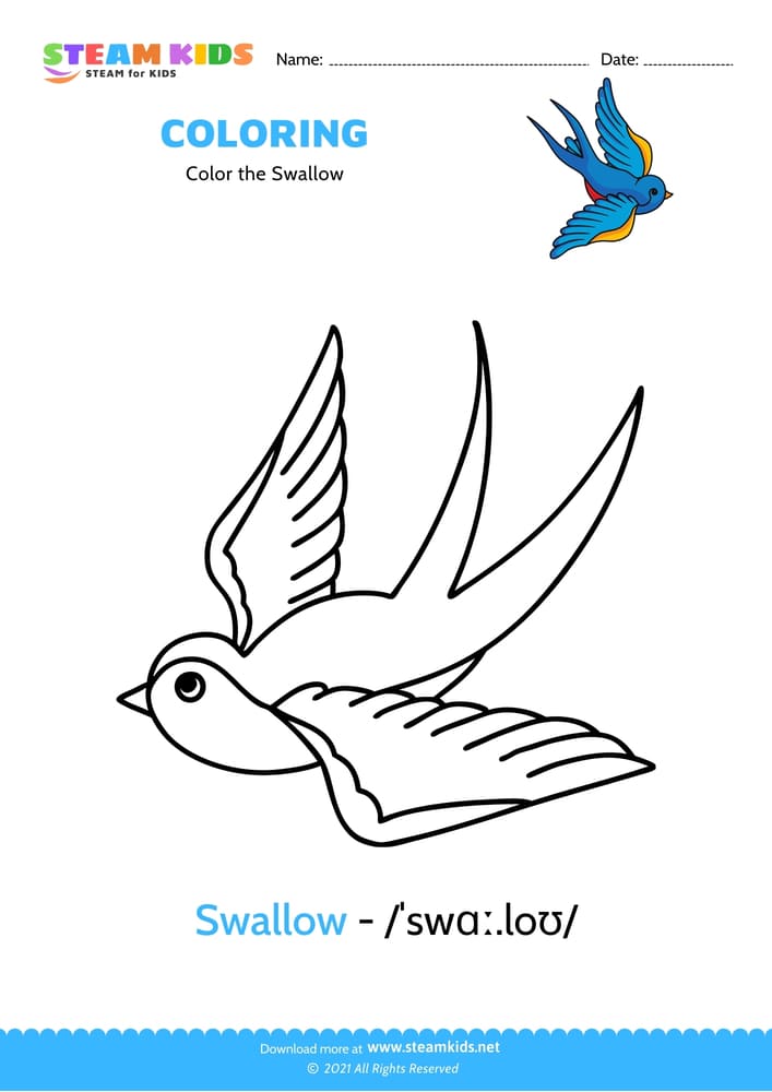 Free Coloring Worksheet - Color the Swallow - STEAM KIDS