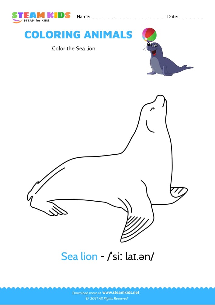 Free Coloring Worksheet - Color the Sea lion - STEAM KIDS