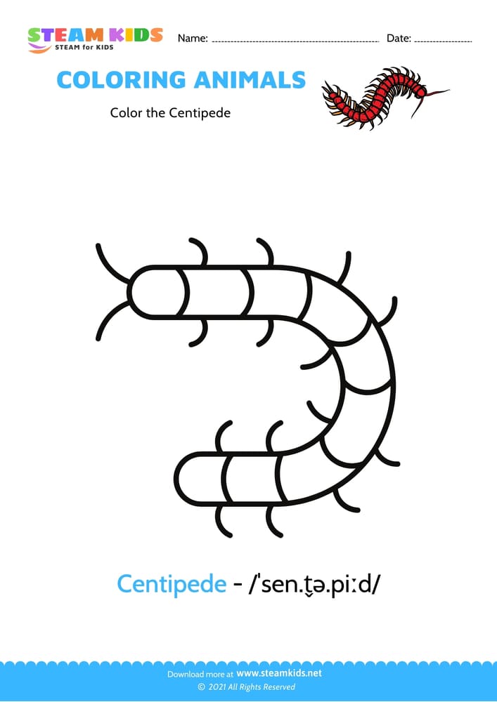 Free Coloring Worksheet - Color the Centipede - STEAM KIDS