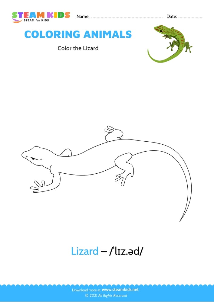 Free Coloring Worksheet - Color the Lizard - STEAM KIDS