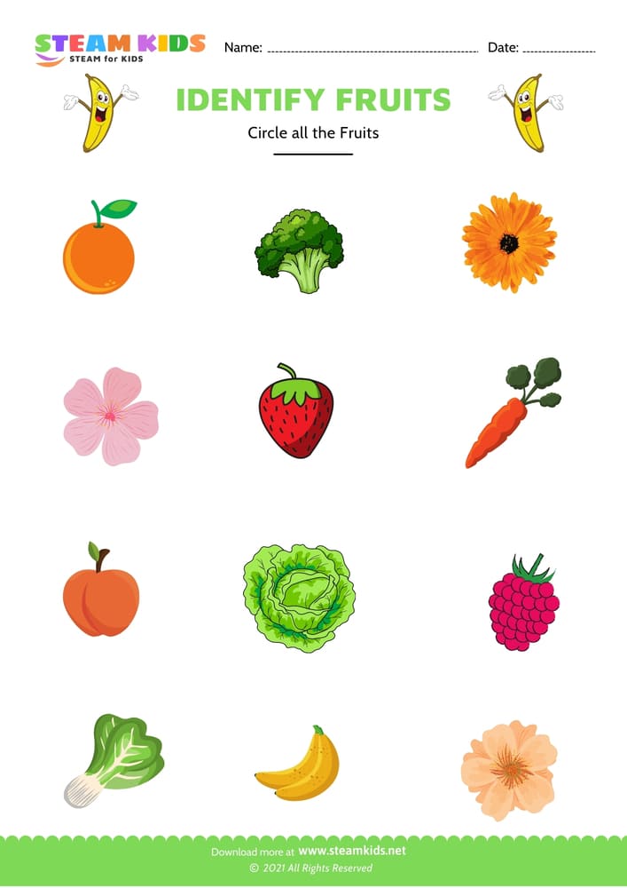 Free Science Worksheet - Identify fruit - Worksheet 1 - STEAM KIDS