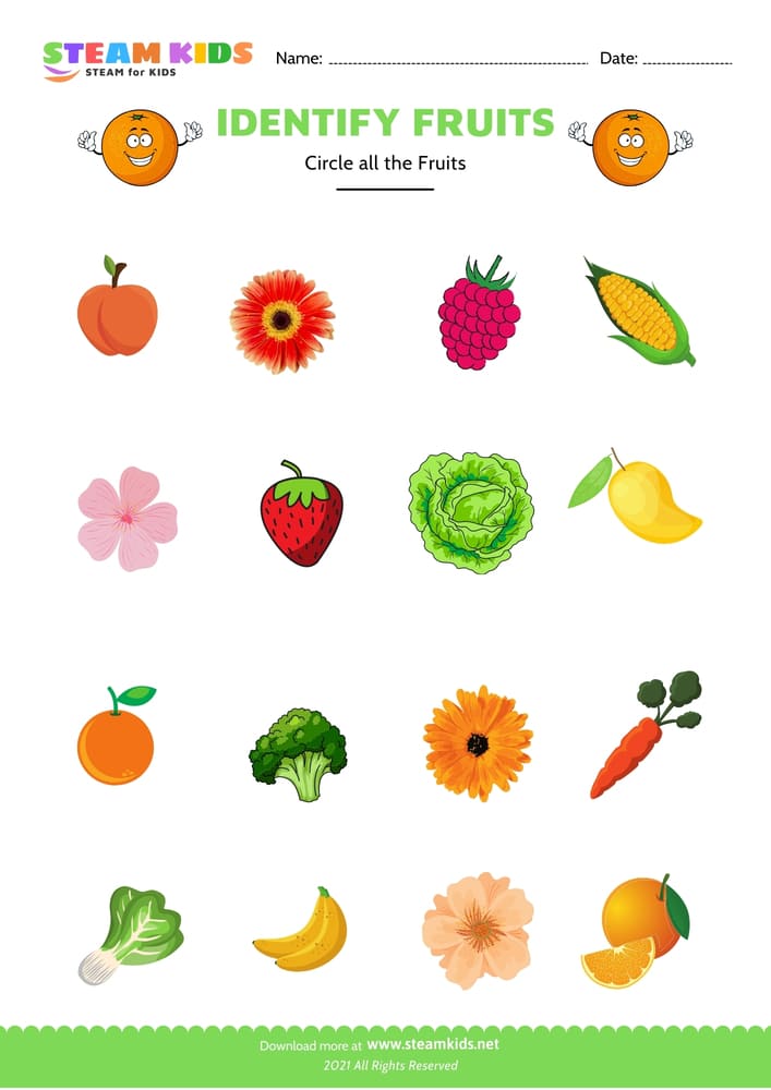 Free Science Worksheet - Identify fruit - Worksheet 3 - STEAM KIDS