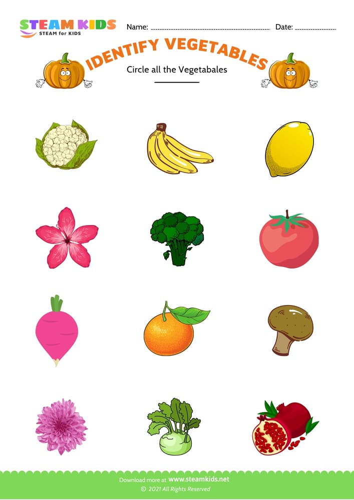 Vegetables - Science Worksheets For Preschool - STEAM KIDS