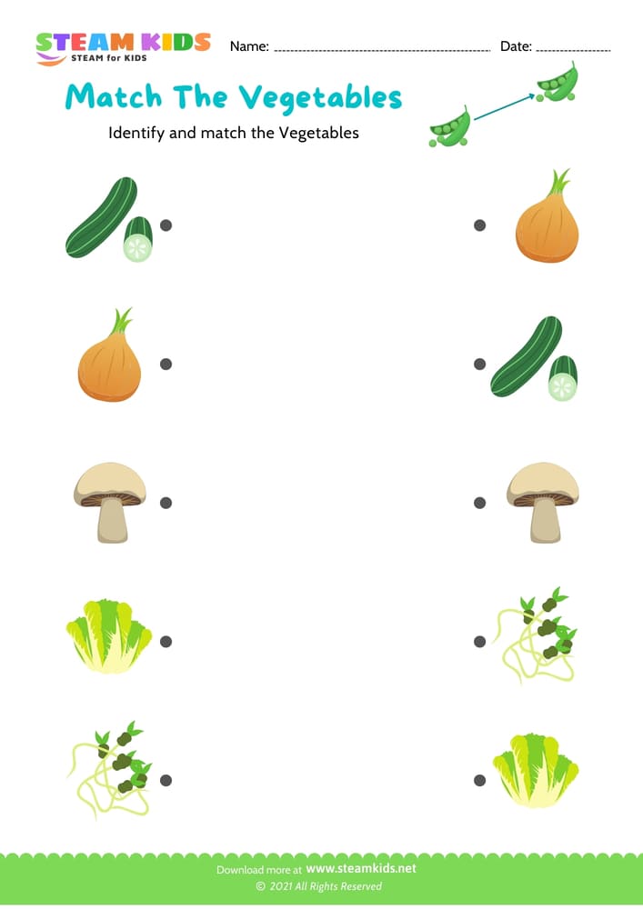 Vegetables - Science Worksheets For Preschool - STEAM KIDS