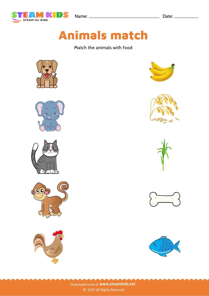 Free Science Worksheet - Identify - Worksheet 1 - STEAM KIDS