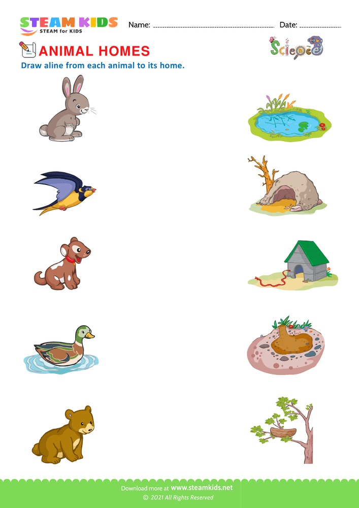 Animal Homes - Science Worksheets For Preschool - STEAM KIDS