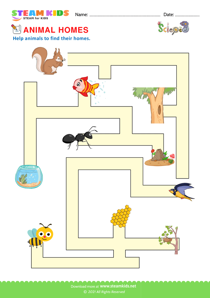 Free Science Worksheet - Animal Homes - Worksheet 3 - STEAM KIDS