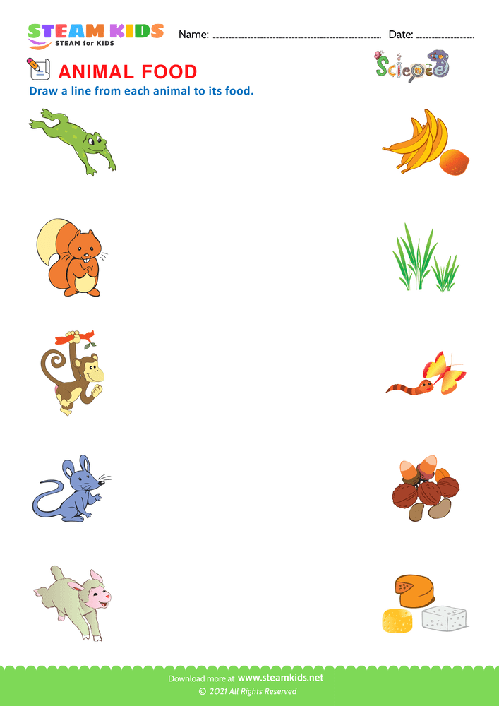 Free Science Worksheet - Animal Food - Worksheet 2 - STEAM KIDS