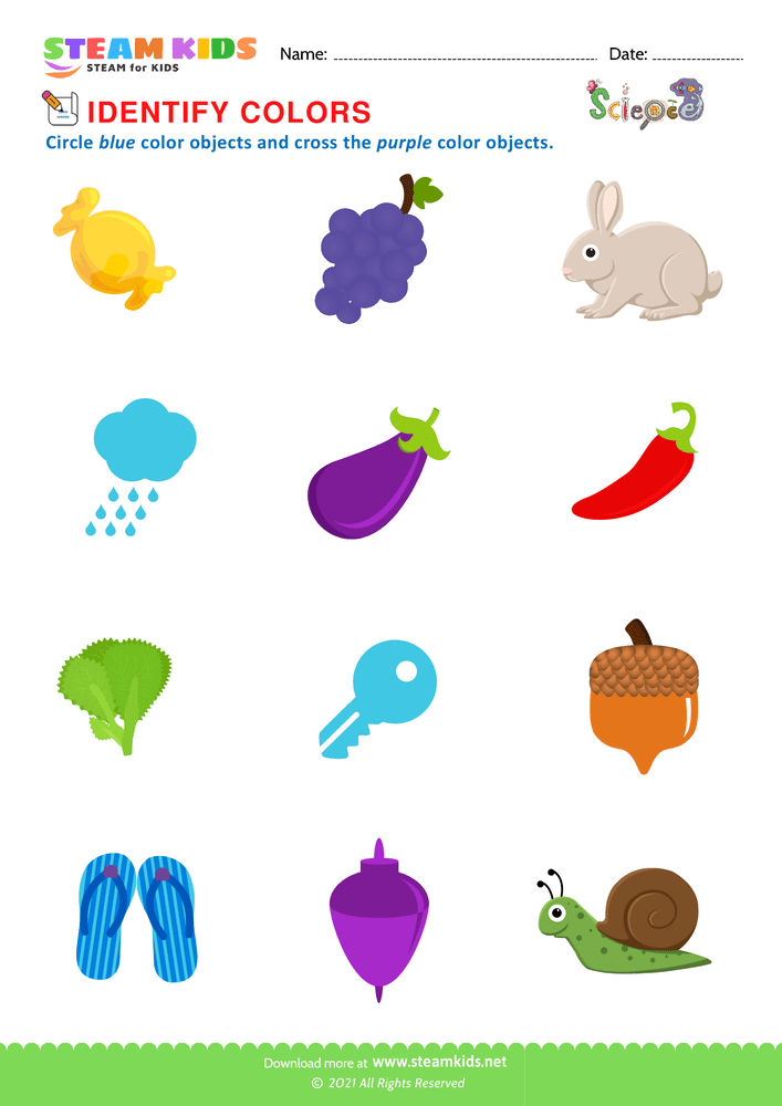 Free Science Worksheet - Identify Colors - Worksheet 4 - STEAM KIDS