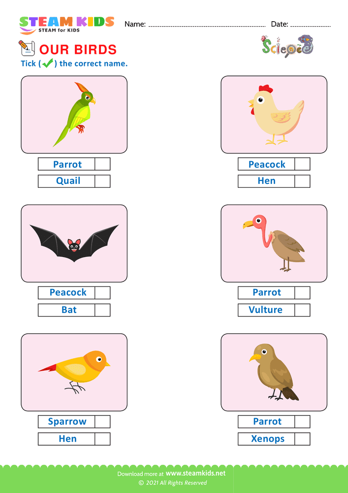 Birds - Science Worksheets For Kindergarten - STEAM KIDS