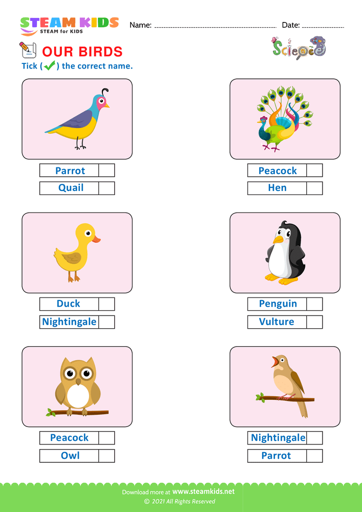 Birds - Science Worksheets For Kindergarten - STEAM KIDS