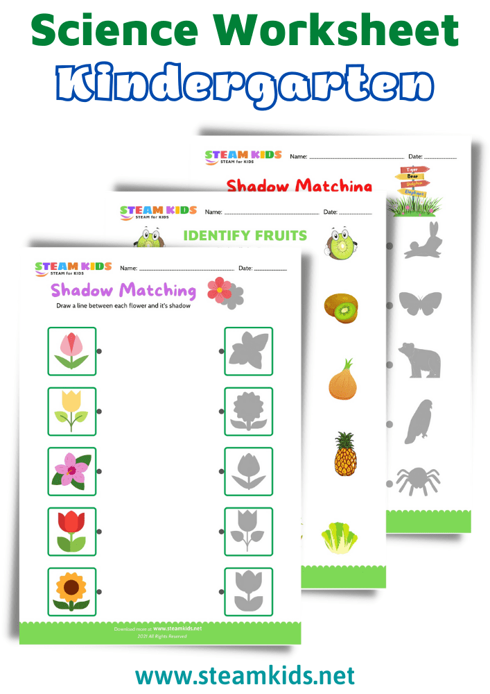 Free Science Worksheets For Kids - STEAM KIDS